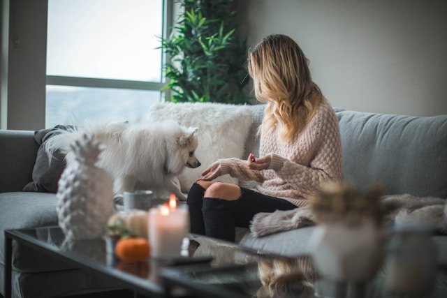 House Sitting Guide For Homeowners | So Easily Distracted